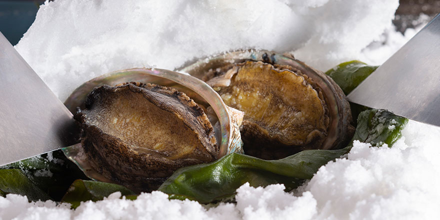 ROPPONGI UKAI TEI│UKAI -Restaurants & Museum-